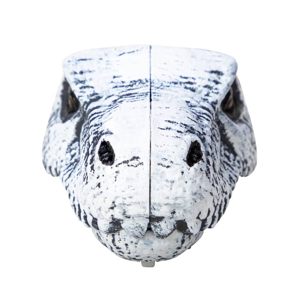 Chomp & Go Dino Skulls | Classic Schylling Dinosaur Toy