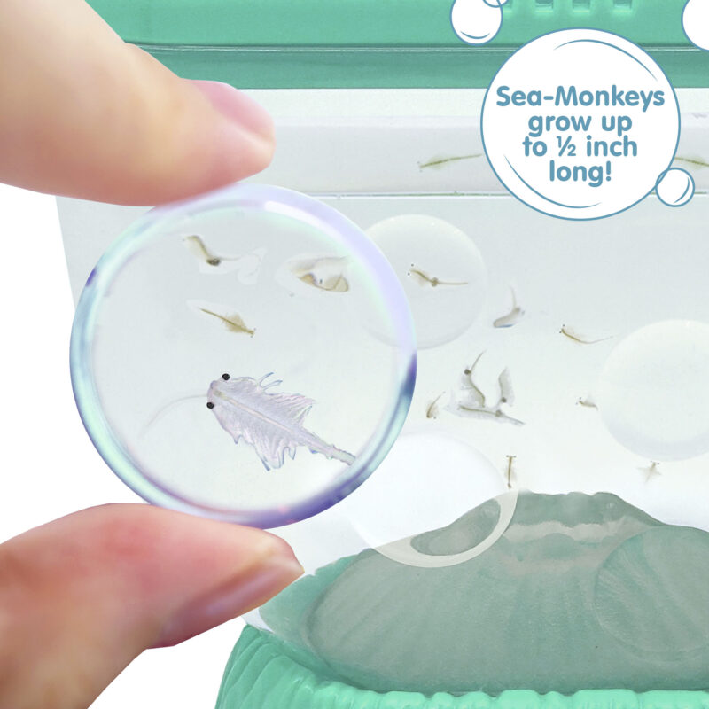 Sea-Monkeys Ocean-Volcano - World's Easiest, No-Mess Pet