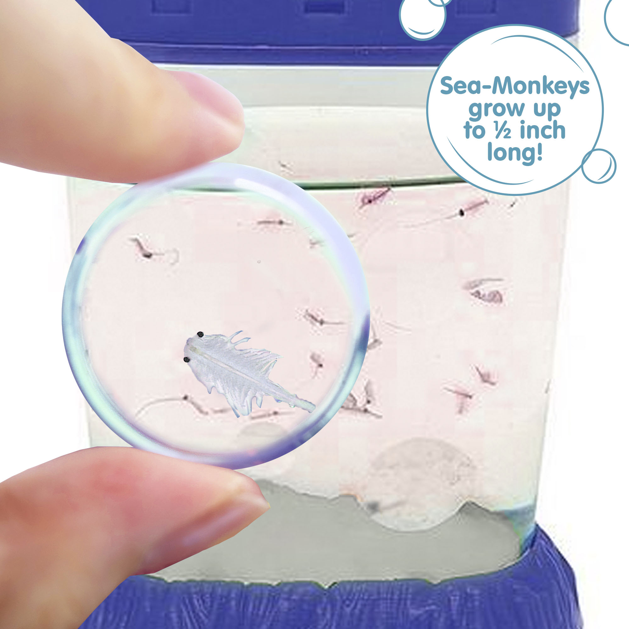 Sea-Monkeys Magiquarium - World's Easiest, No-Mess Pet